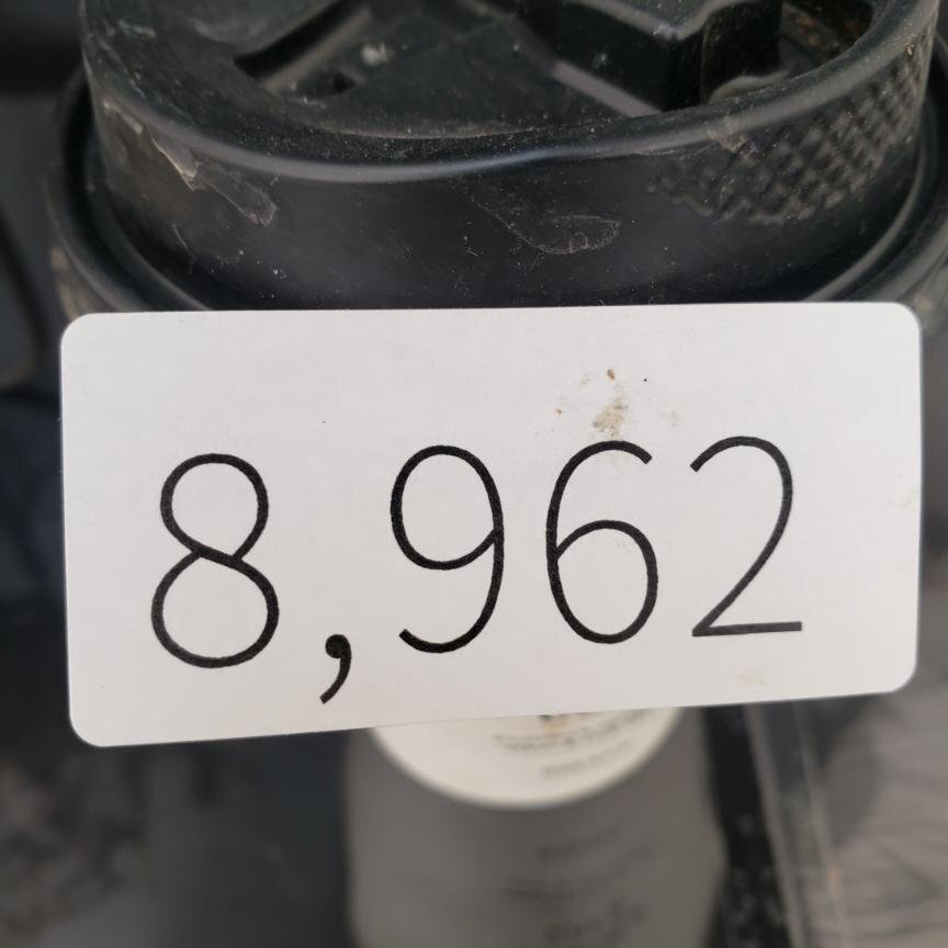 Yahoo!オークション - 8962 「塊根植物」マダガスカル特急便 オペルク...