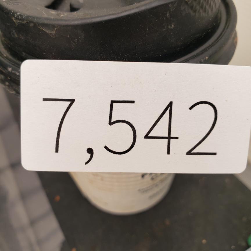 Yahoo!オークション - 7542 「塊根植物」ケラリア ピグマエア 抜き苗【...