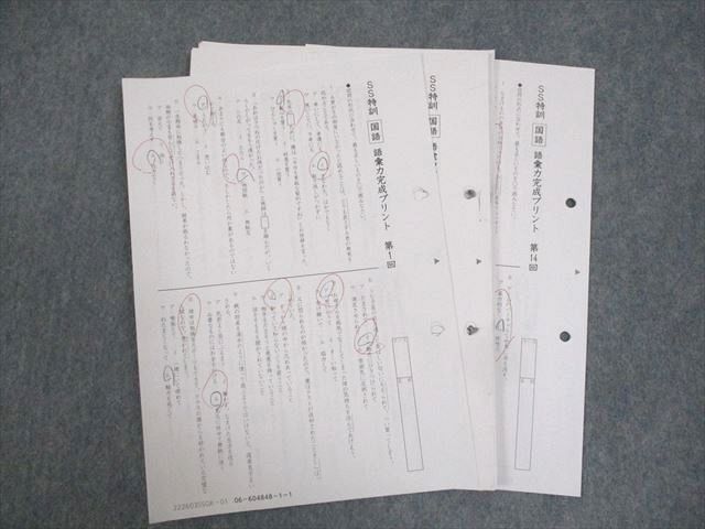 Yahoo!オークション - SAPIX サピックス 小6 SS特訓 国語 語彙力完成プ...