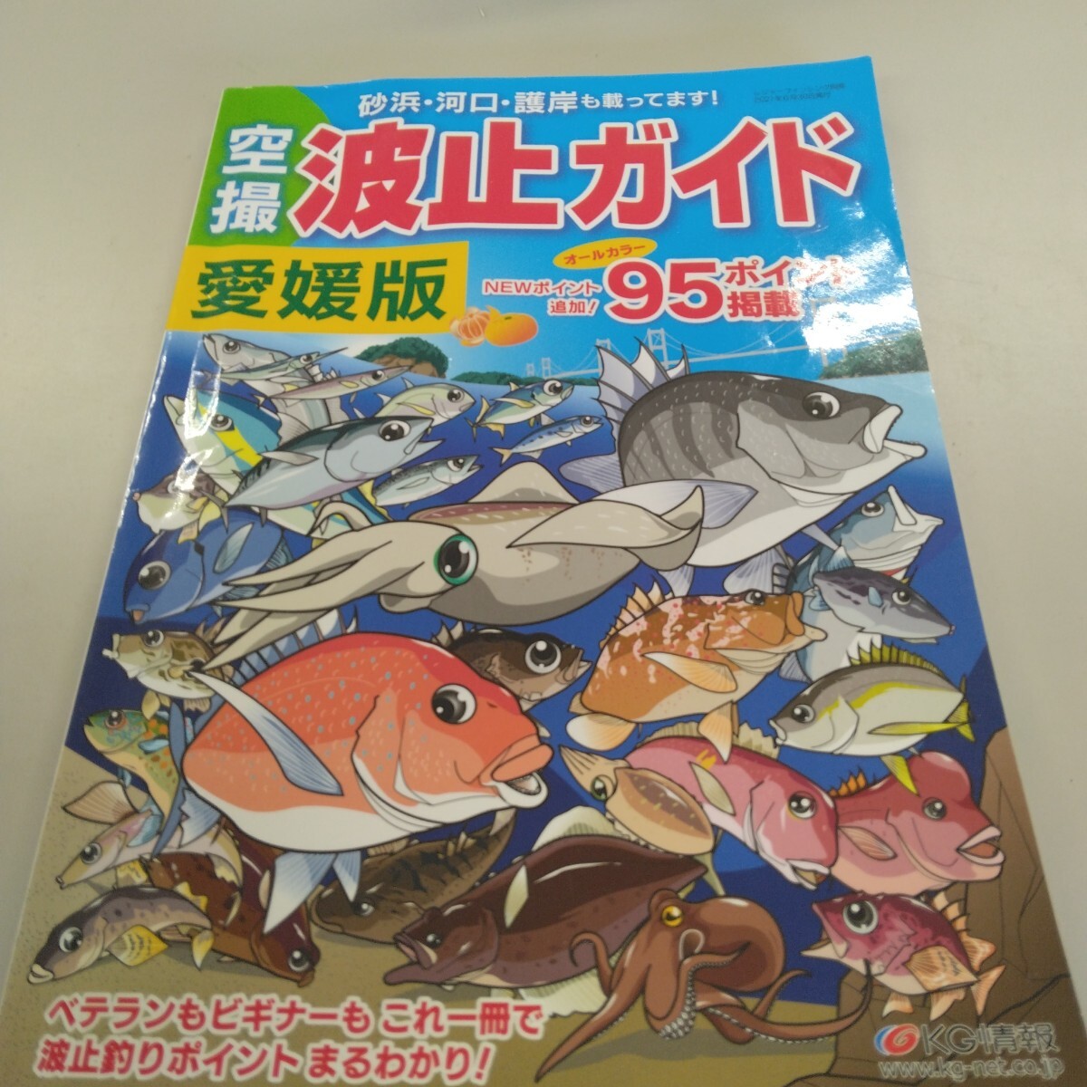 Yahoo!オークション - 0538 空撮 波止ガイド愛媛版 KG情報 磯釣り 波止...