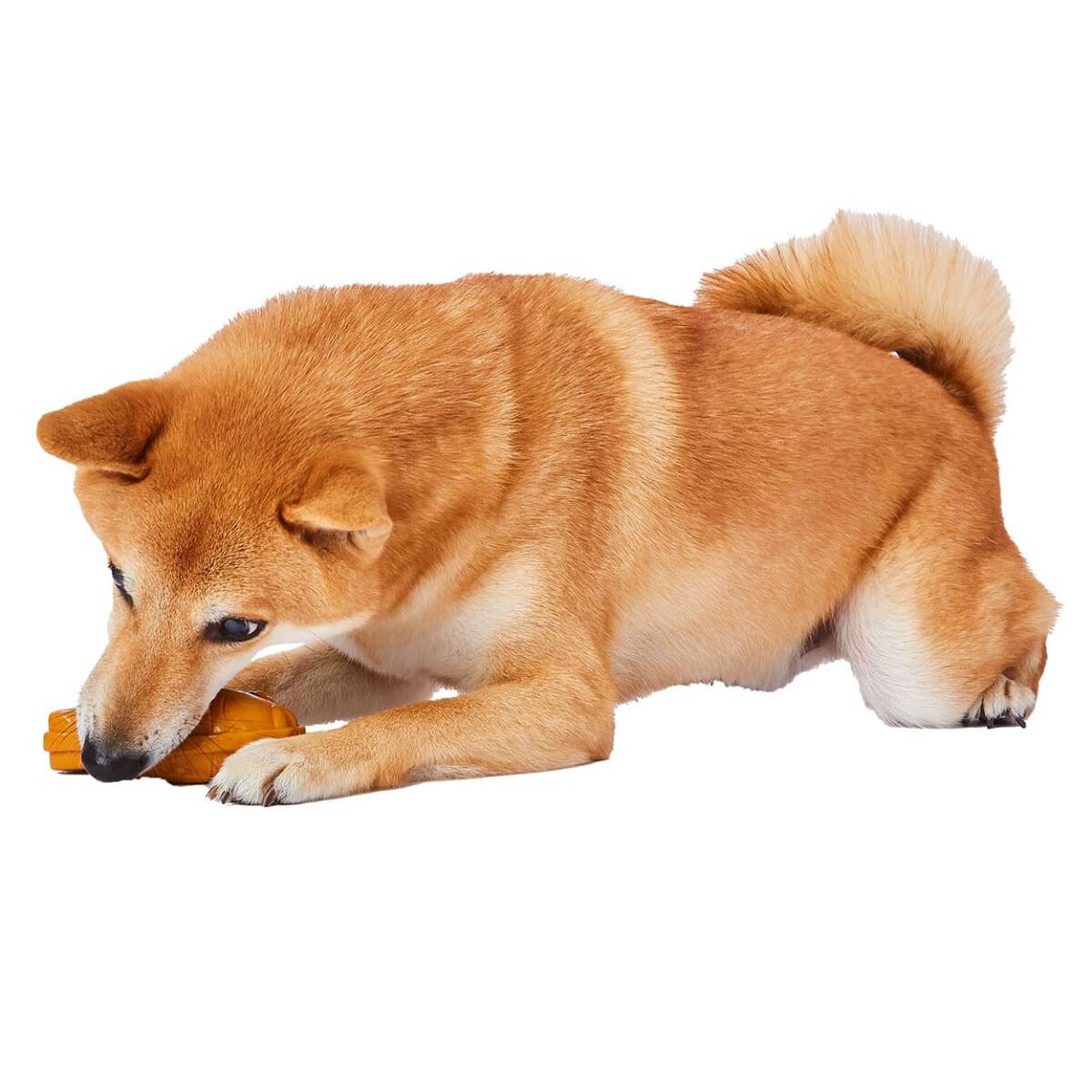 Yahoo!オークション - ペティオ (Petio) 犬用おもちゃ 犬雅 和菓子ラテ...