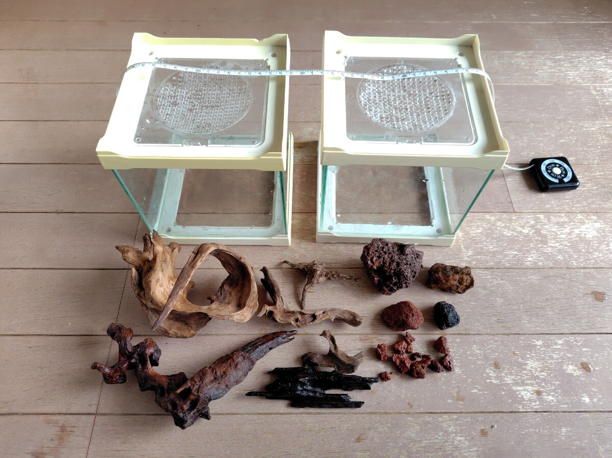 Yahoo!オークション - 水槽 水作 コレクターズ Low ロータイプ(15cmキ...