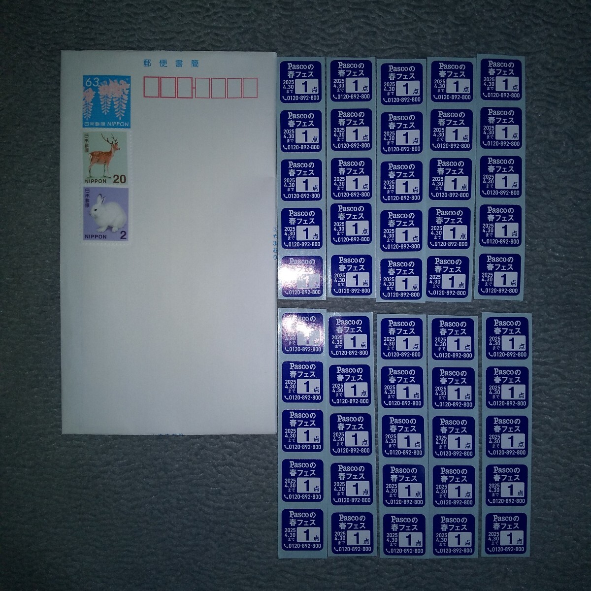 Yahoo!オークション - Pascoの春フェス 点数シール50点分