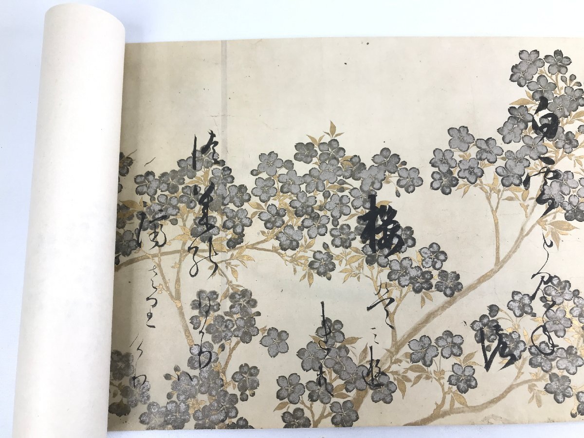 Yahoo!オークション - 光悦筆 四季草花宗達下絵和歌巻 日野原家蔵一巻 ...