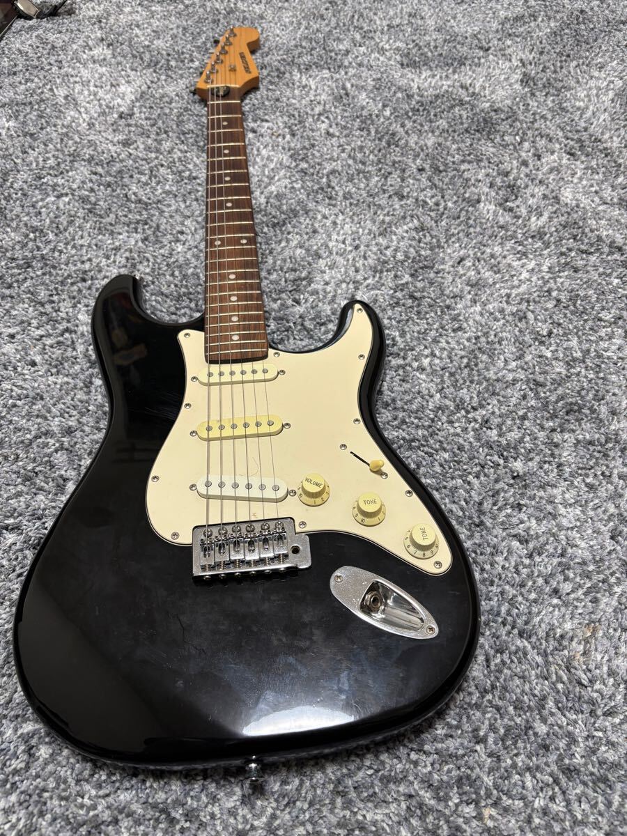 Yahoo!オークション - SELDER セルダー エレキギター 中古 ソフトケー...