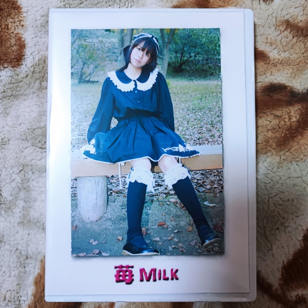 DVD Hiroinet ヒロイネット ぷちClub 苺MILK グラビア(複数被写体)｜売買されたオークション情報、yahooの商品情報をアーカイブ公開 - オークファン（aucfan.com）