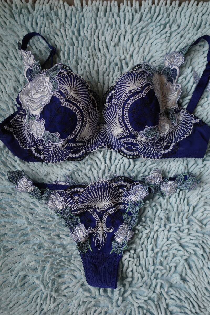 Yahoo!オークション - 貴重 ワコール サルート愛人 F65 Tバック M キ...