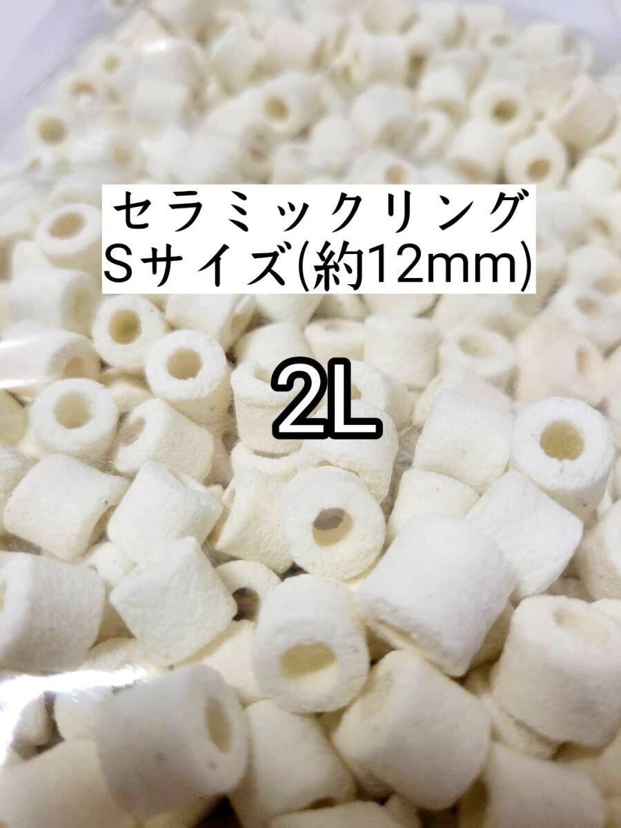 Yahoo!オークション - ろ過材 約12mmリングろ材 セラミックリング2L バ...