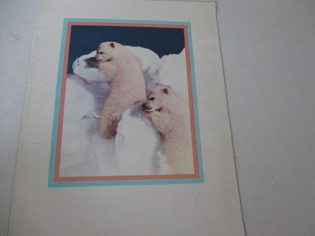 Yahoo!オークション - A4パンフP22・白い荒野ものがたり