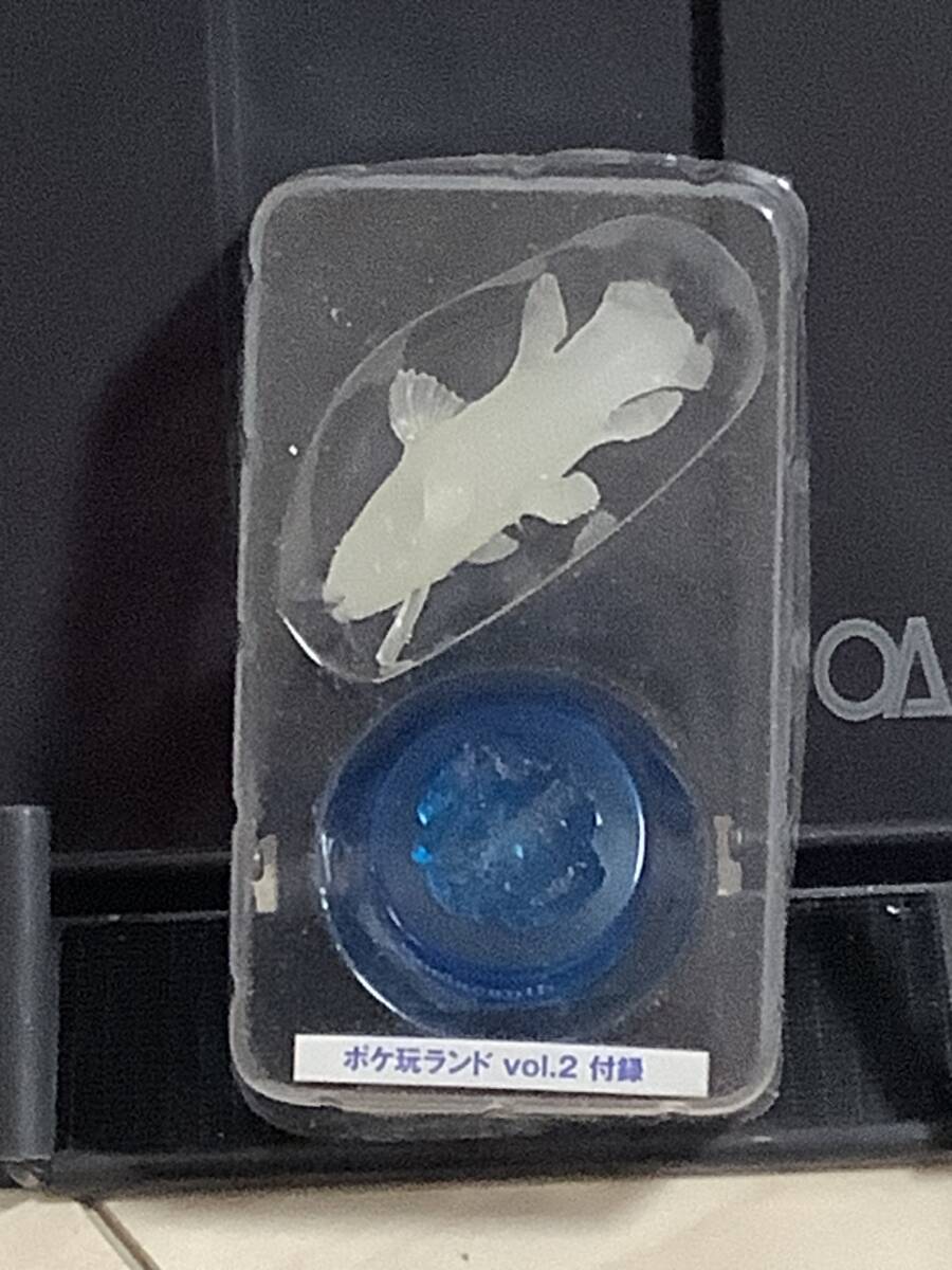 Yahoo!オークション - 送料230円 海洋堂 DyDo MIU 深海生物 フィギュア...