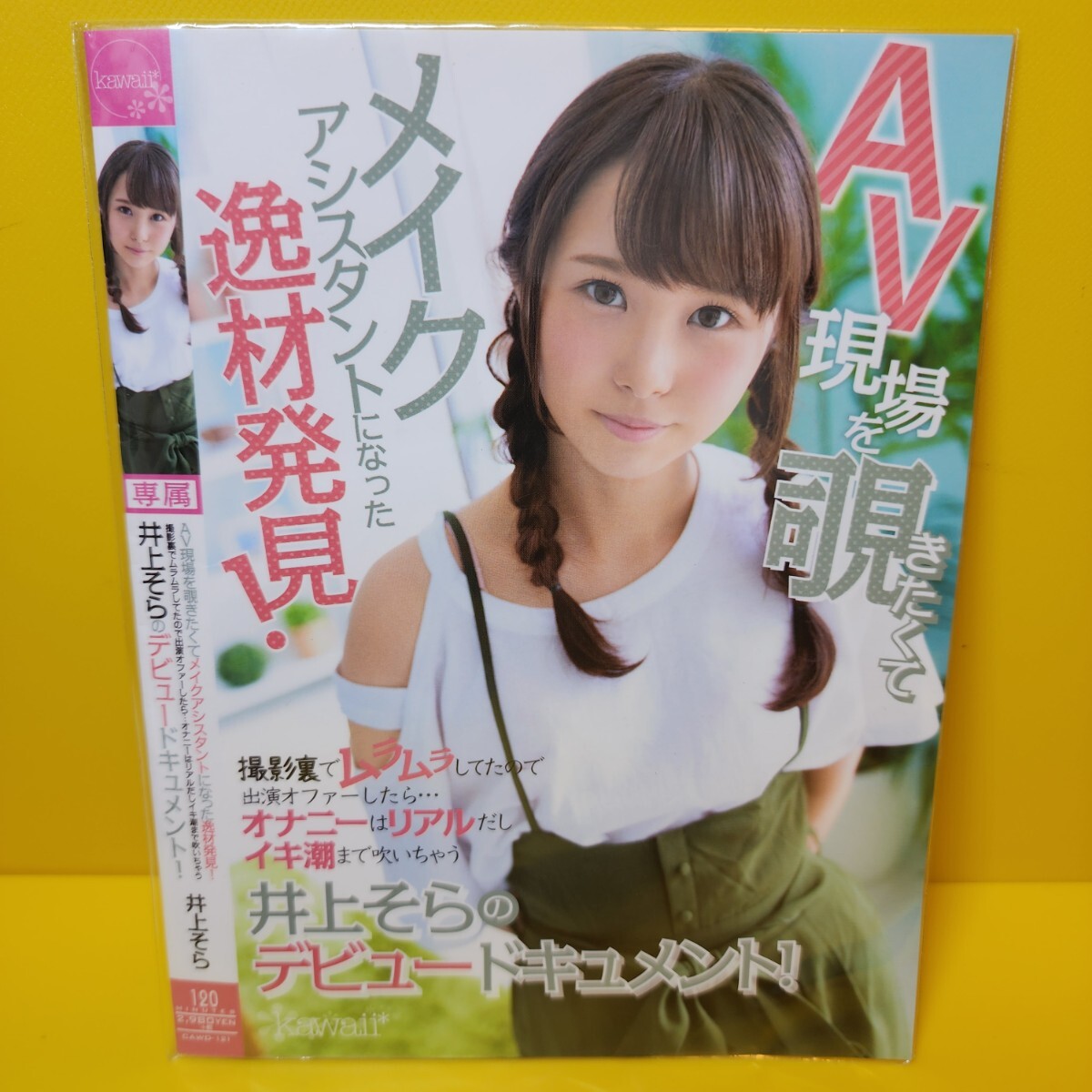 Yahoo!オークション - Kawaii DVDメイクアシスタント 井上そら