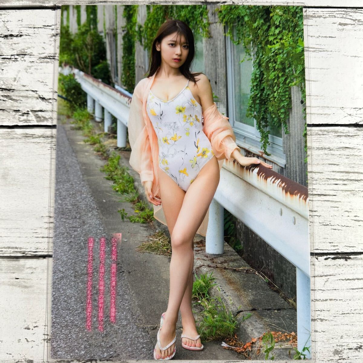 高品質ラミネート処理 まるぴ ヤングマガジン 2024年49号 雑誌 切り抜き 8P B5フィルム 水着 グラビア アイドル 芸能人 女優(タレント)｜売買されたオークション情報、yahooの ...