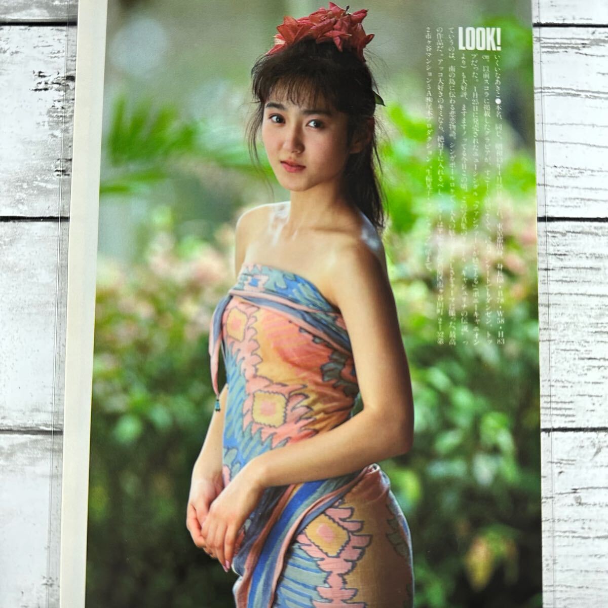 Yahoo!オークション - [高品質ラミネート処理][ 生稲晃子 ] スコラ 198...