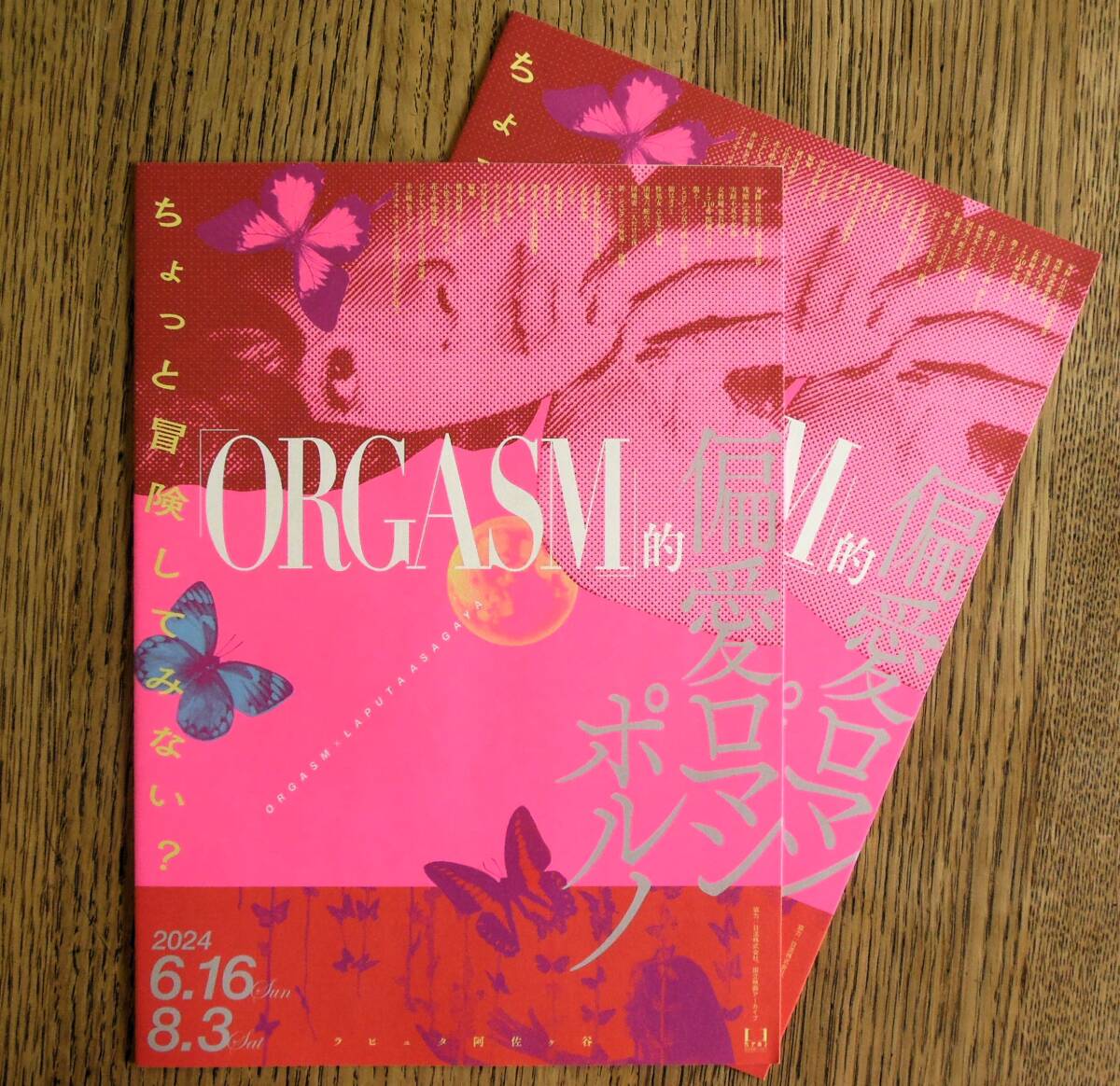 Yahoo!オークション - 即決『ORGASM的 偏愛ロマンポルノ』映画チラシ2...