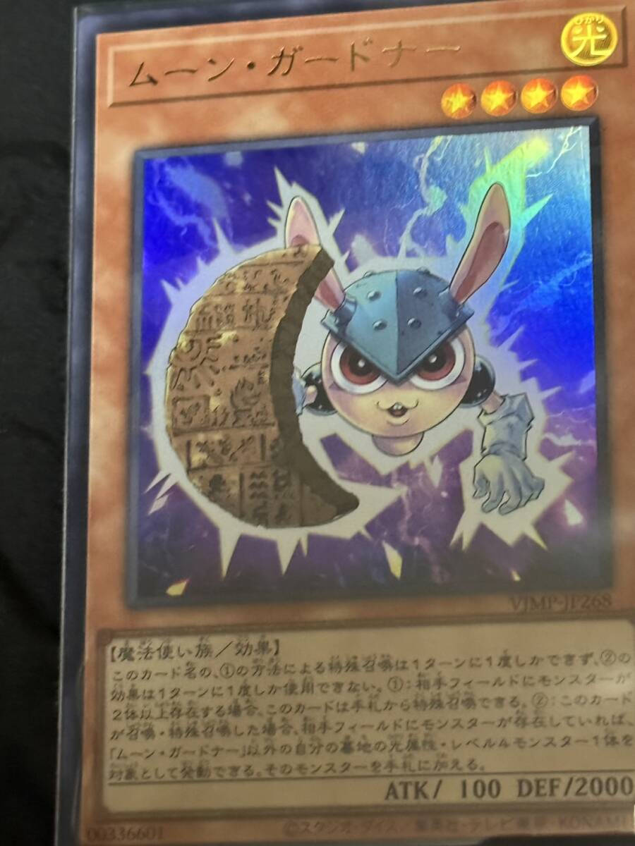 Yahoo!オークション - VJMP-JP268 ムーン・ガードナー》