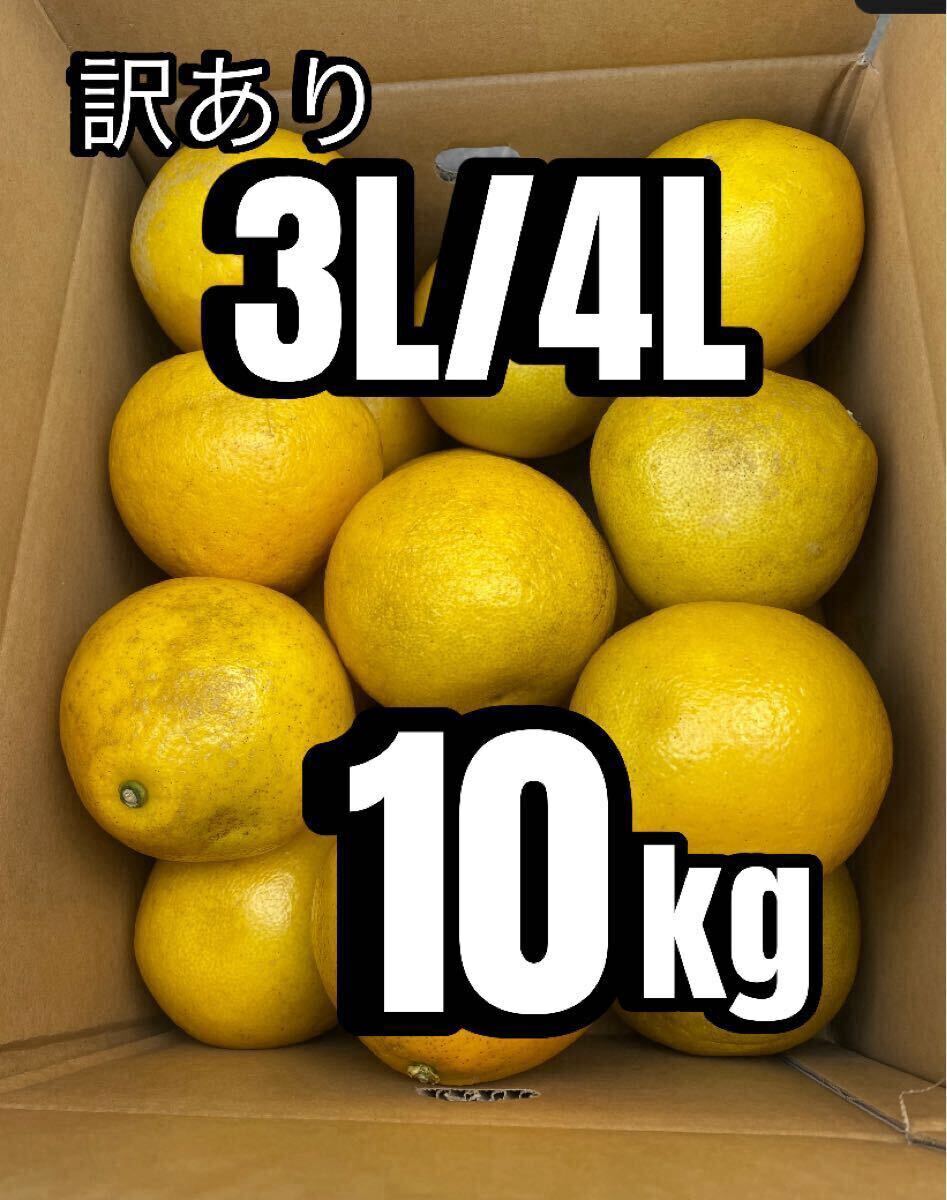 Yahoo!オークション - 即決 訳あり 文旦3L/4L 10kg 農家直送 高知県産 ...