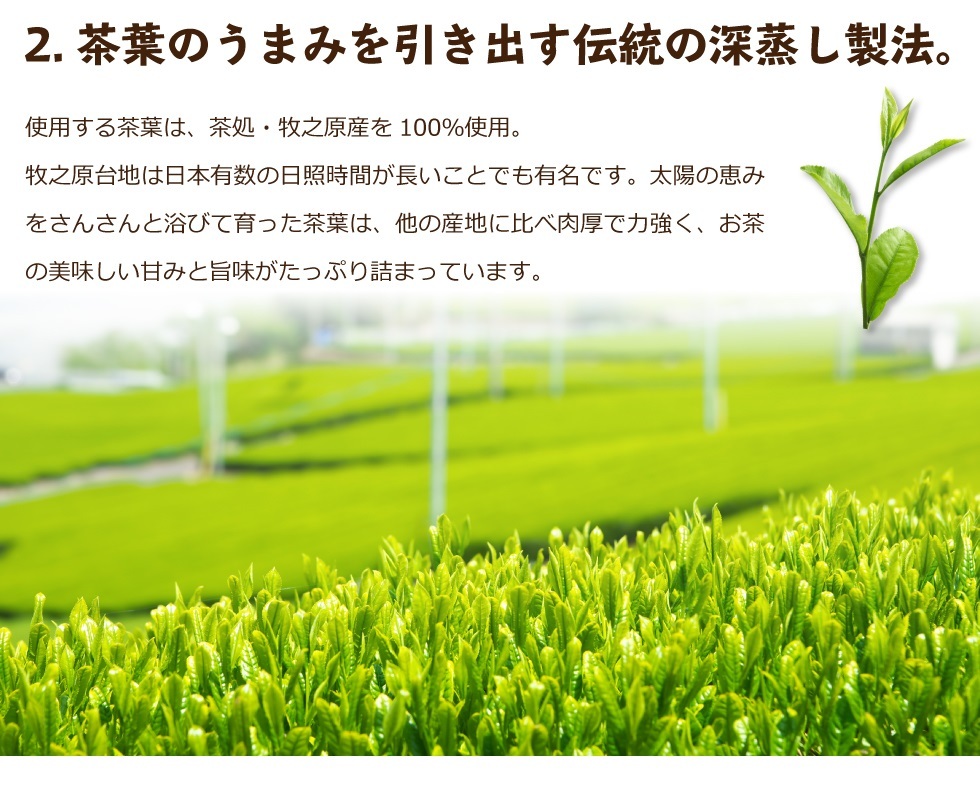 Yahoo!オークション - べにふうき ティーバッグ 2g×100p べにふうき茶...