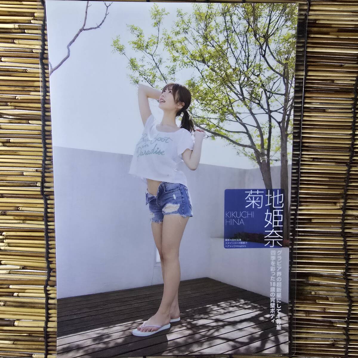 Yahoo!オークション - 【高品質厚手150μラミネート加工】菊地姫奈 ...