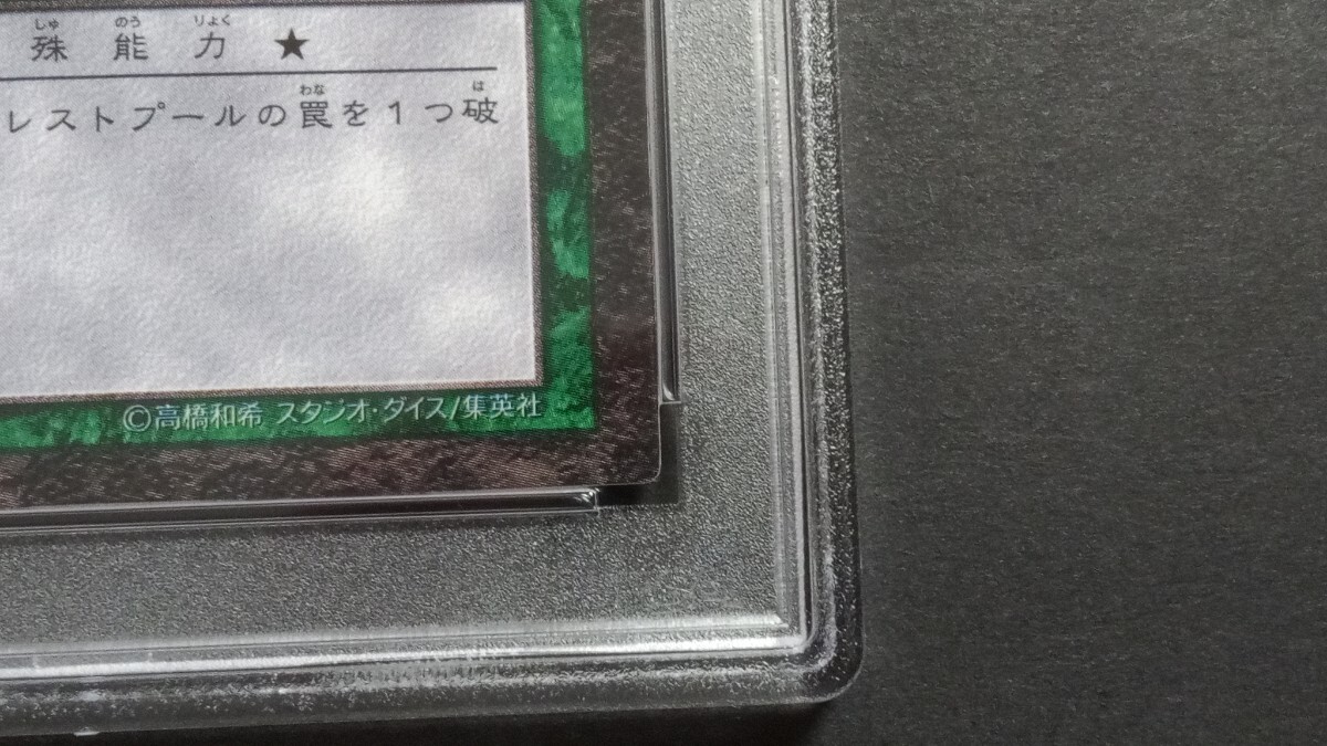 PSA7 DDM キャッツ フェアリー ダンジョン ダイス 遊戯王 DUNGEONDICE MONSTERS NEKOGAL #1(シングルカード)｜売買されたオークション情報、yahooの ...