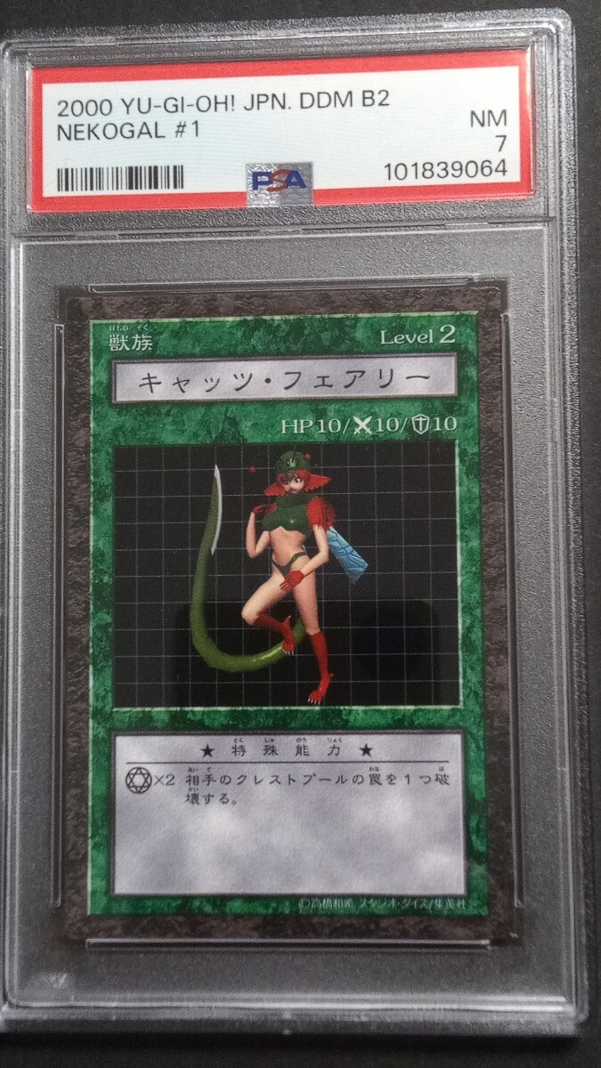PSA7 DDM キャッツ フェアリー ダンジョン ダイス 遊戯王 DUNGEONDICE MONSTERS NEKOGAL #1(シングルカード)｜売買されたオークション情報、yahooの ...