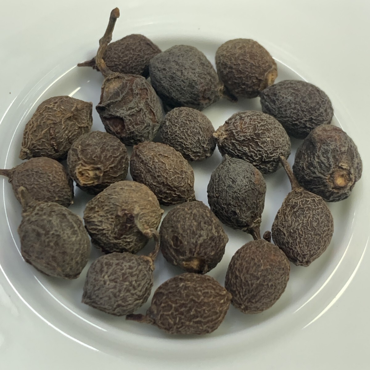 Yahoo!オークション - s1226 種子20粒キフォステンマ エレファントプス...