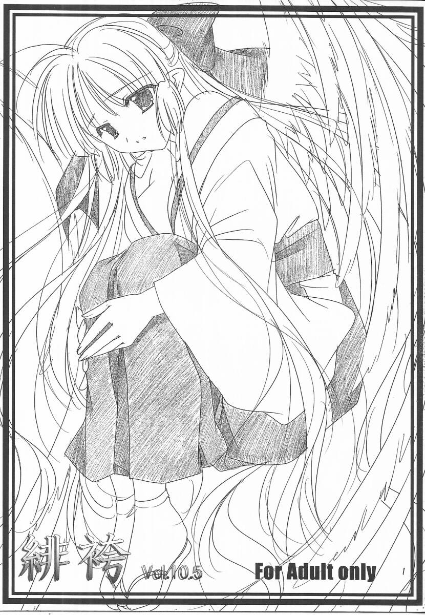 Yahoo!オークション - J315 緋袴 Vol.10.5 / オリジナル / 緋い笑撃