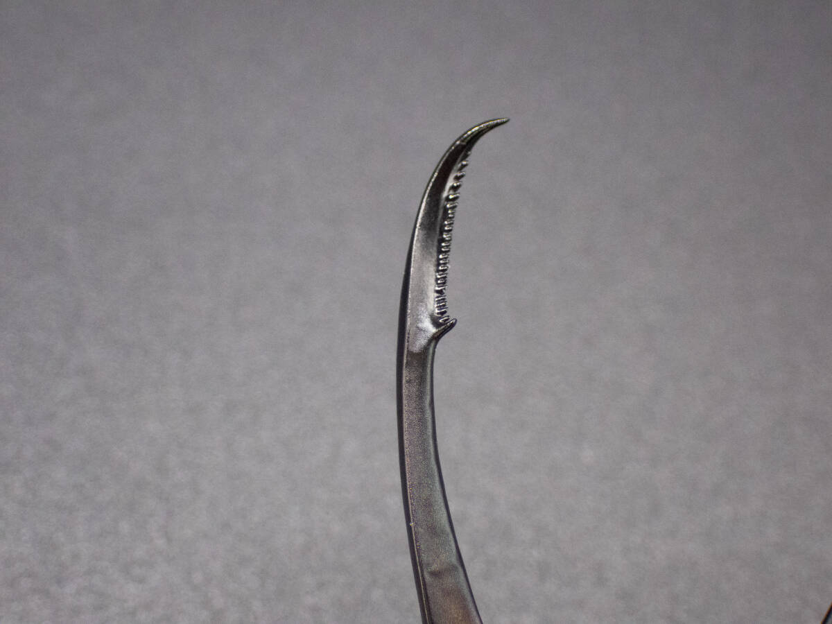 Yahoo!オークション - ♂84.0mm ♀27.0mm WF3 イソガイ タリアブ メタ...