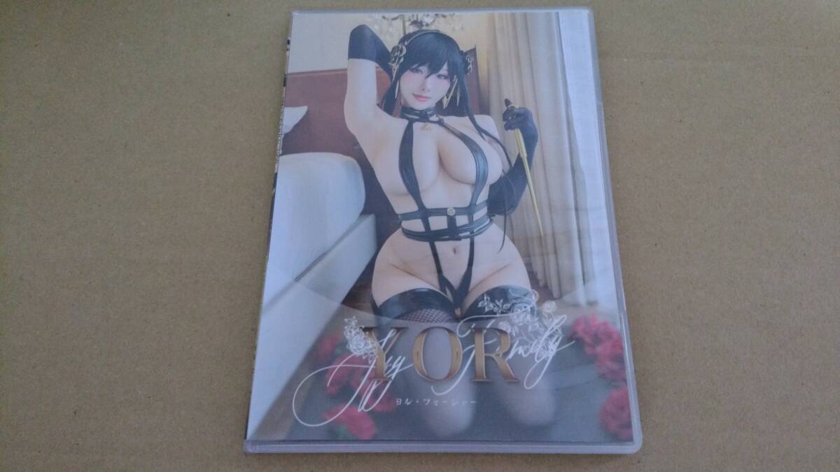 Yahoo!オークション - 雨波 HaneAme 「SPY×FAMILY YOR ヨル・フォー...