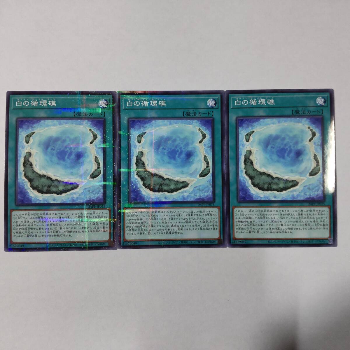 Yahoo!オークション - 24PP-JP015 P-N 白の循環礁 ノーマルパラレル 3...