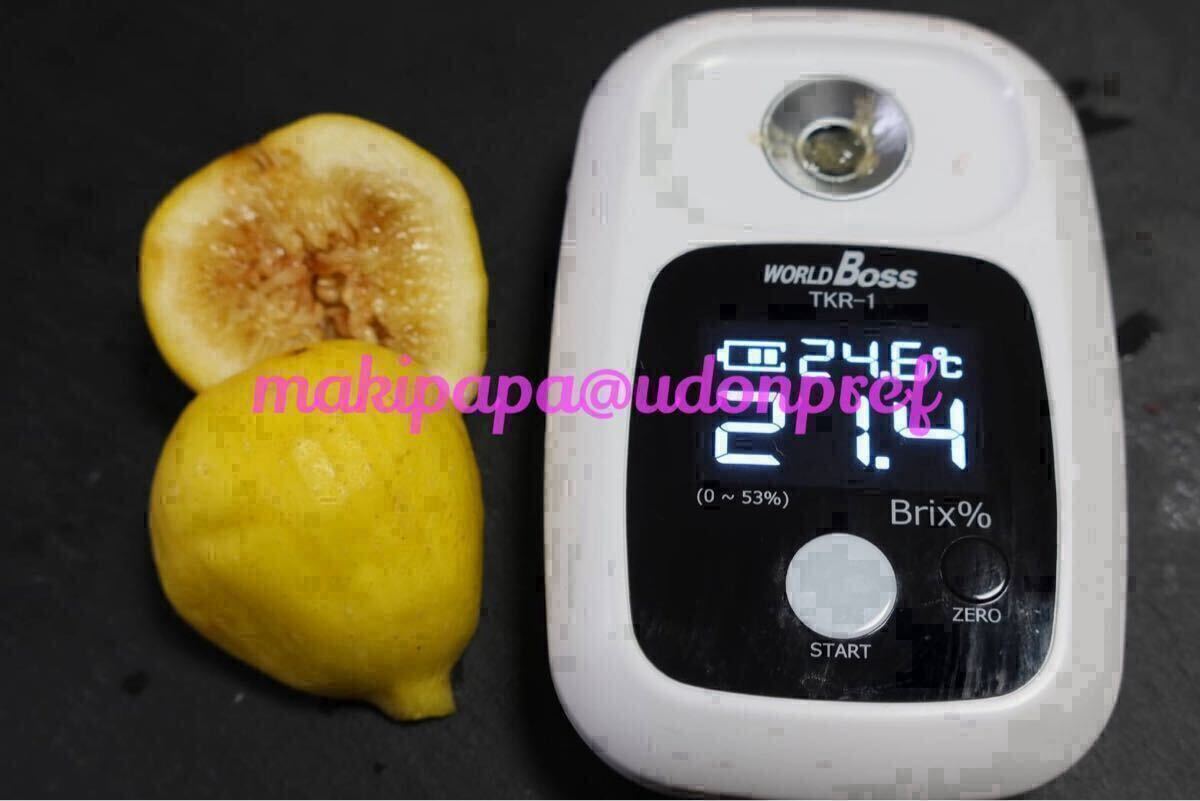 Yahoo!オークション - イチジク 穂木 Gulgun 挿し穂 1本