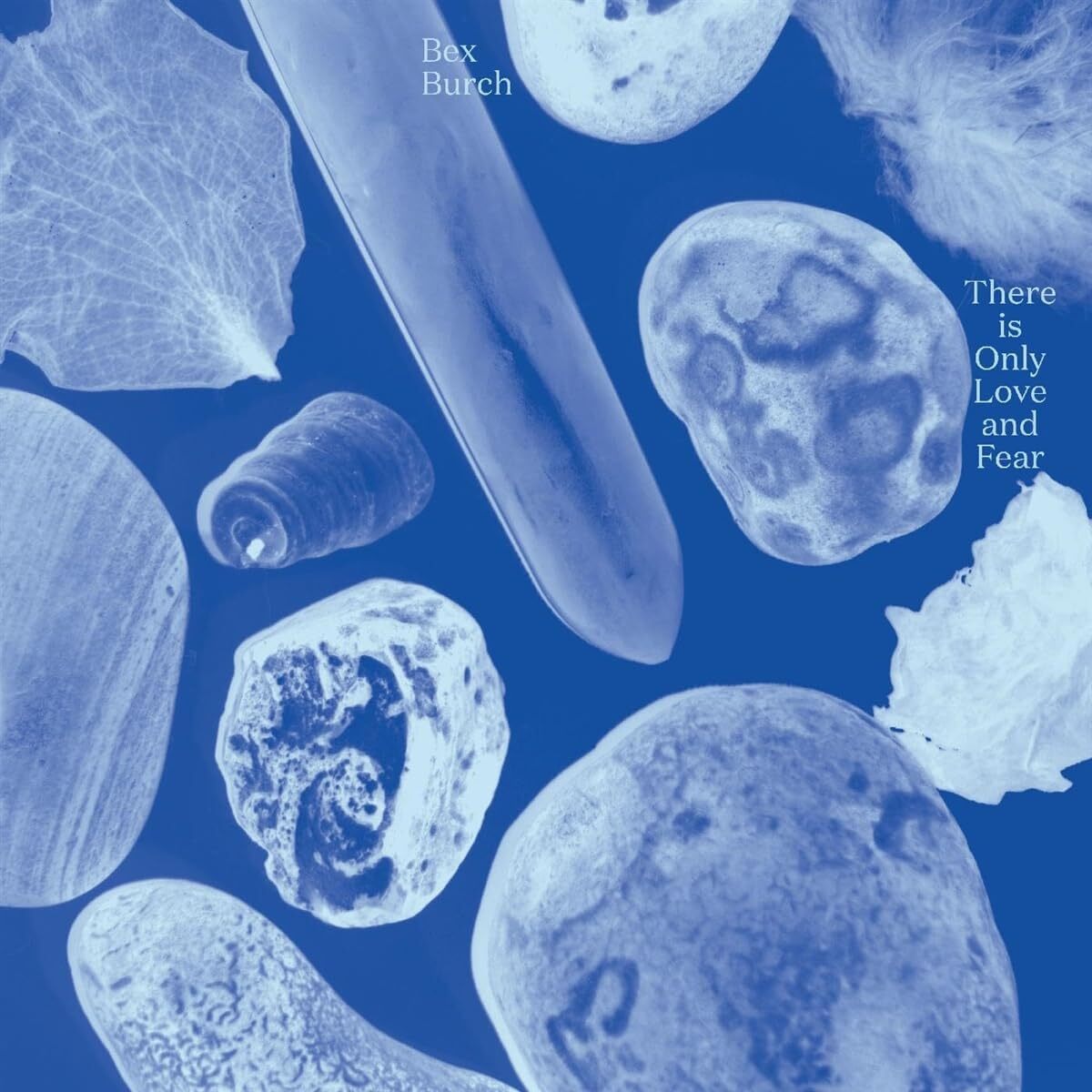 Yahoo!オークション - ワールドワイドLP Bex Burch There Is Only Love...