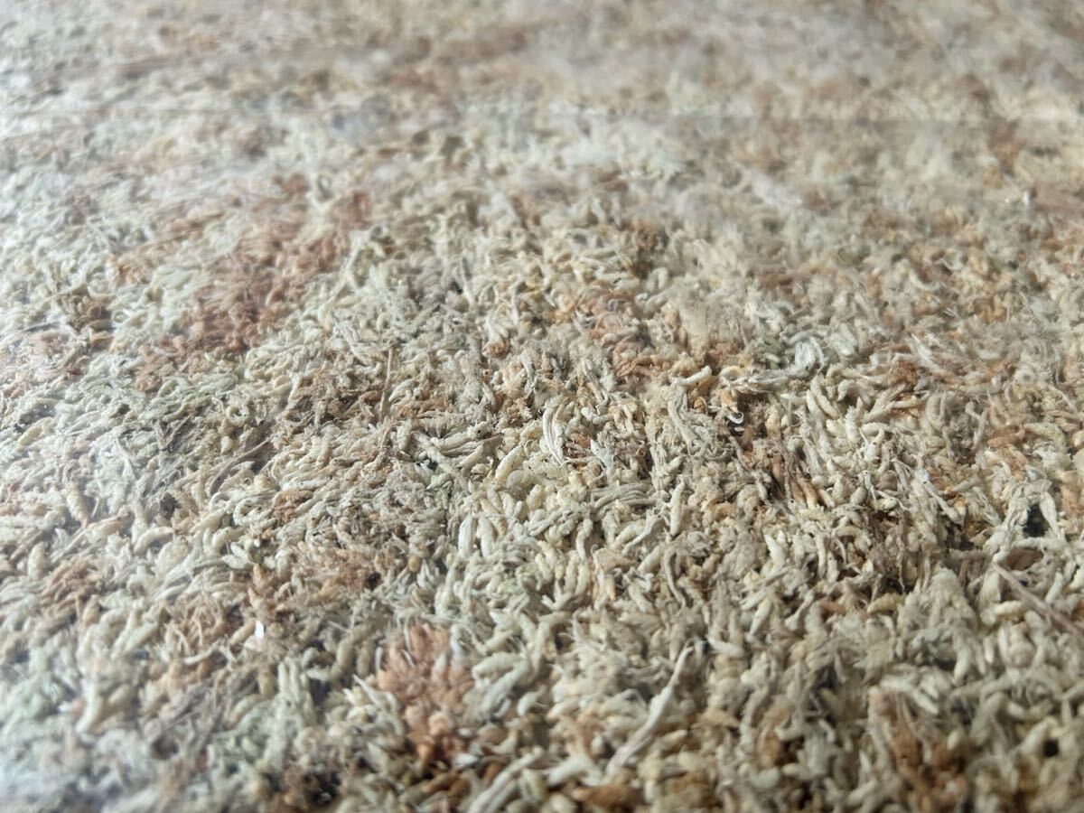 Yahoo!オークション - 水苔 ニュージーランド産 5A(AAAAA) 3kg 乾燥水...