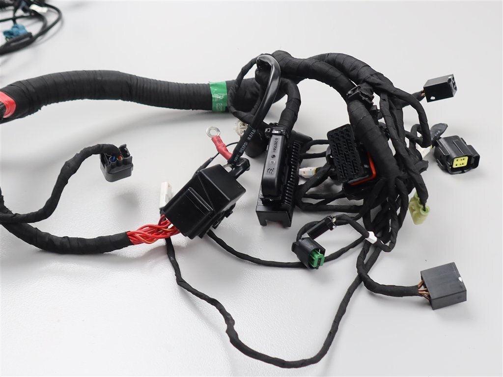 【樂淘letao】日本代購代標第一品牌－♪DUCATI/スクランブラーアイコン 純正 メインハーネス (D0314A08) 2016年式