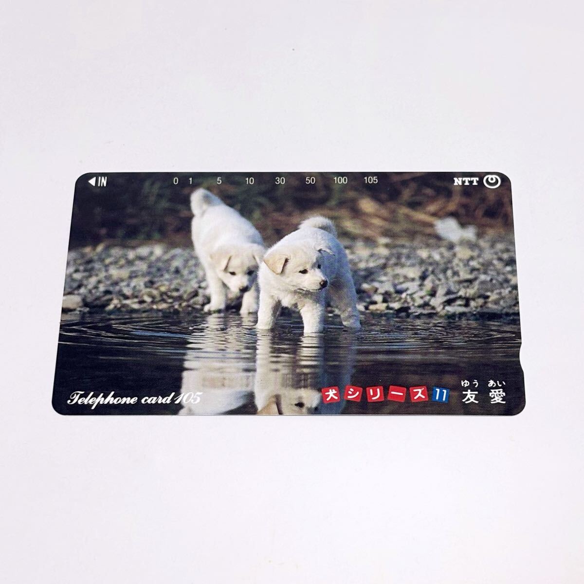 Yahoo!オークション - NTT テレフォンカード テレカ 105度 犬シリーズ1...