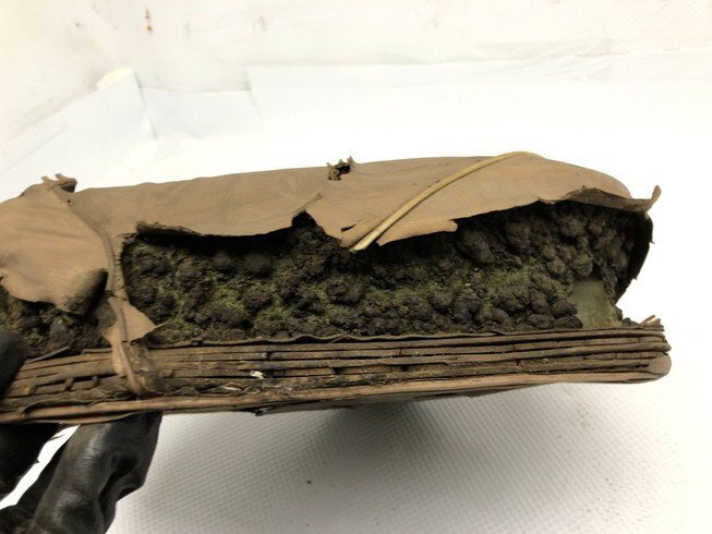 Yahoo!オークション - A610【C】 メインシート ラビット S82 富士重工