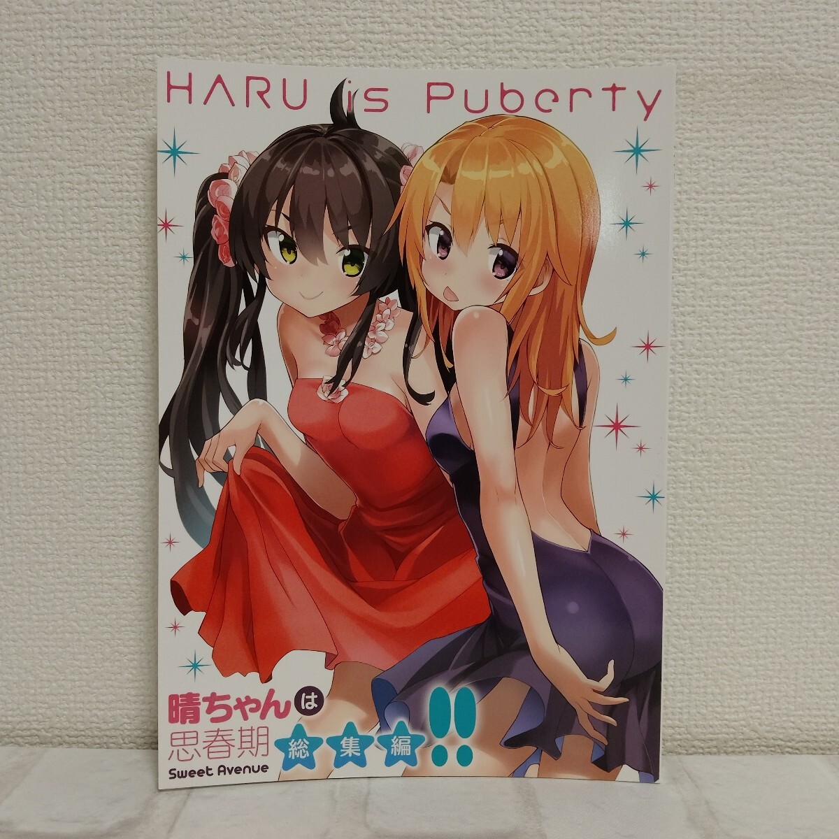 Yahoo!オークション - A798 男性向 一般 同人誌 晴ちゃんは思春期 総集...