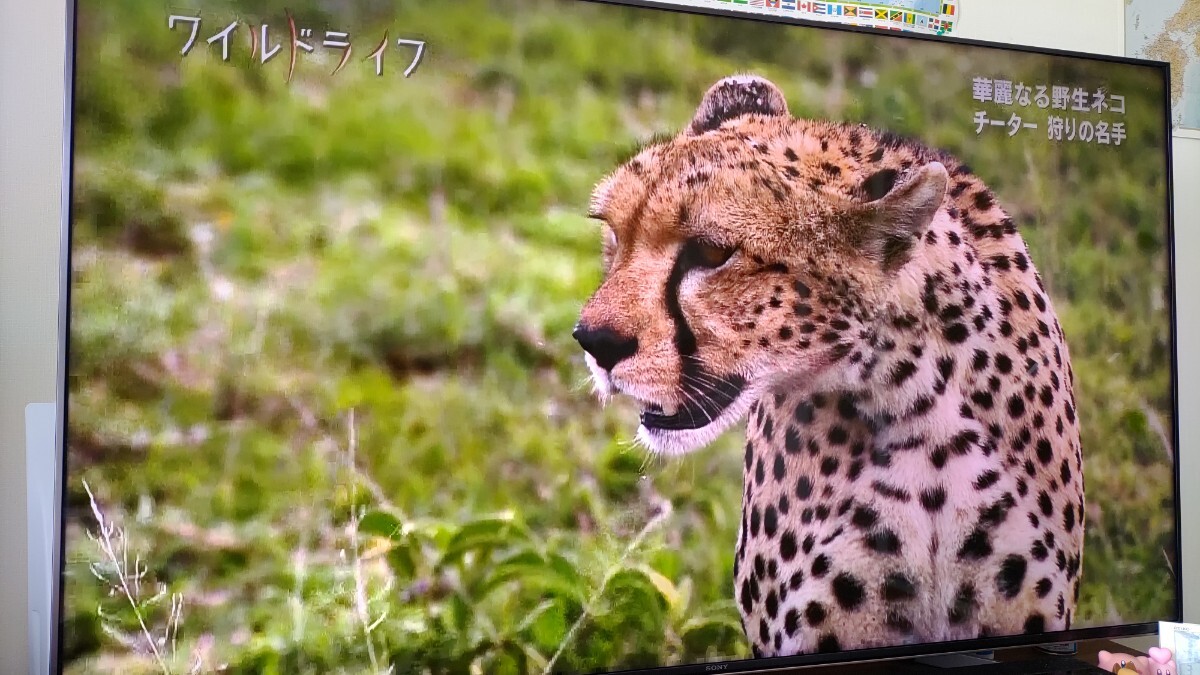 Yahoo!オークション - 動作良好 SONY製 BDレコーダー2018年製 BDZ-ZW55...