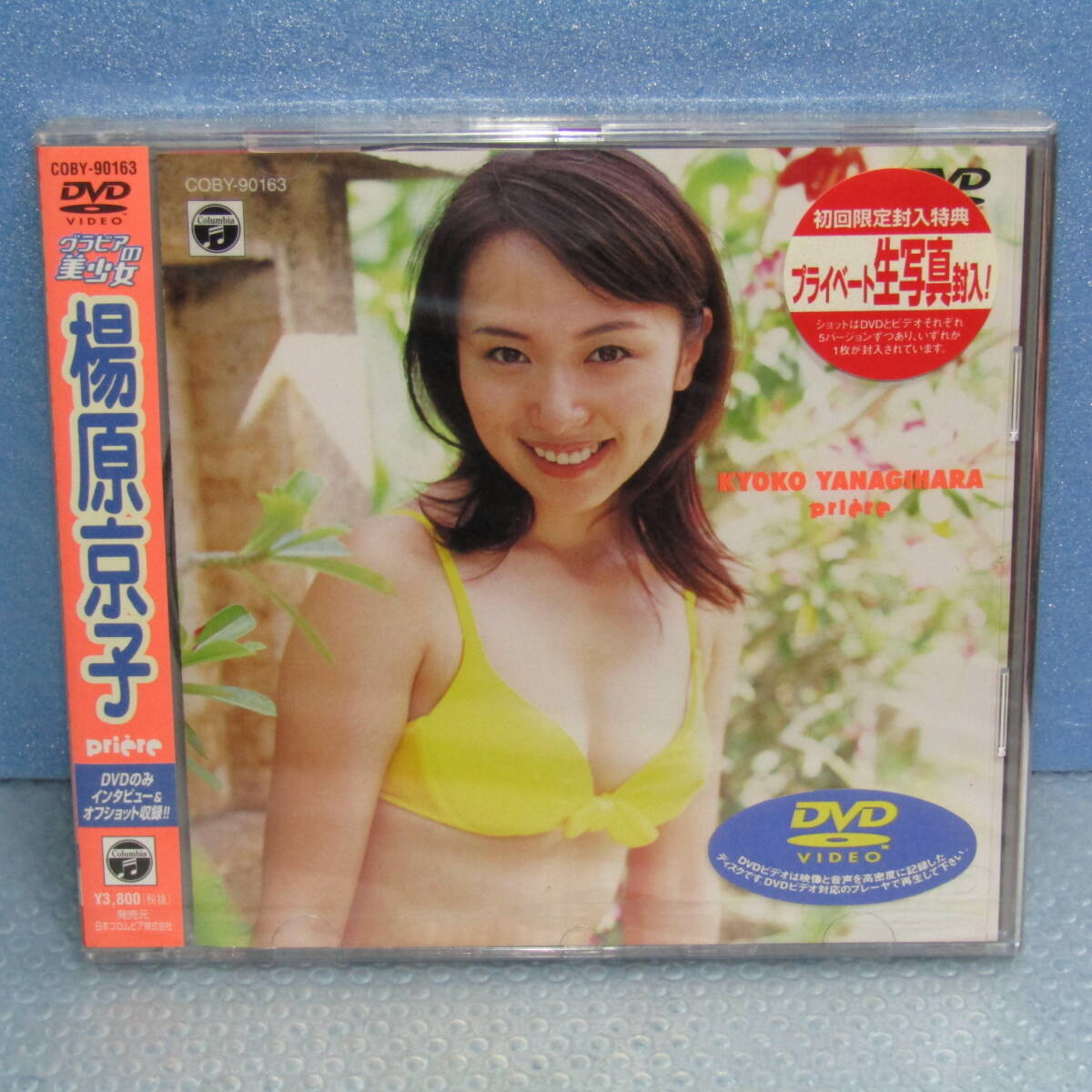 Yahoo!オークション - 新品DVD「楊原京子 やなぎはらきょうこ グラビア...