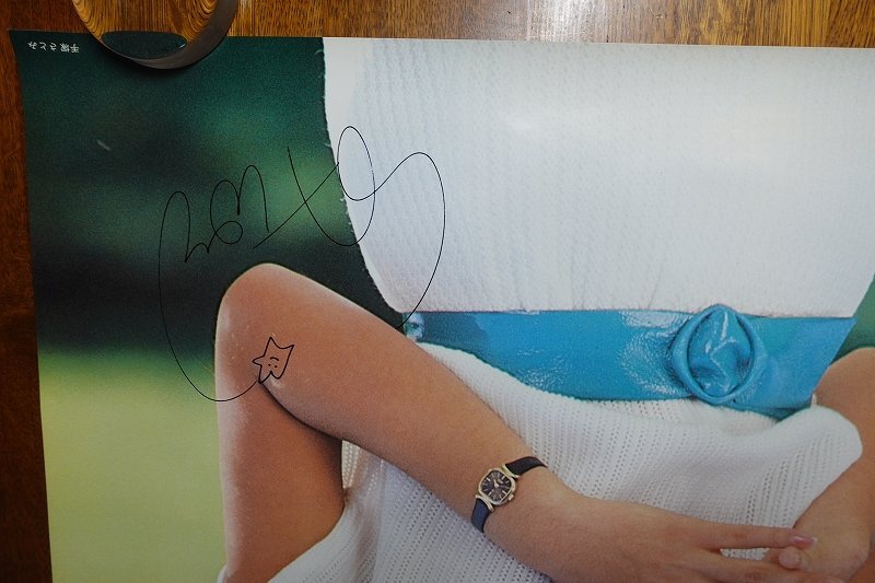 Yahoo!オークション - 長X024/B2判 女優 ポスター 『手塚さとみ 手塚理...