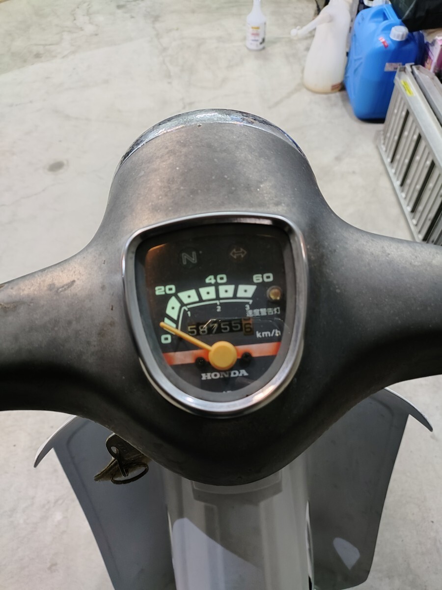 Yahoo!オークション - カブ C50-H