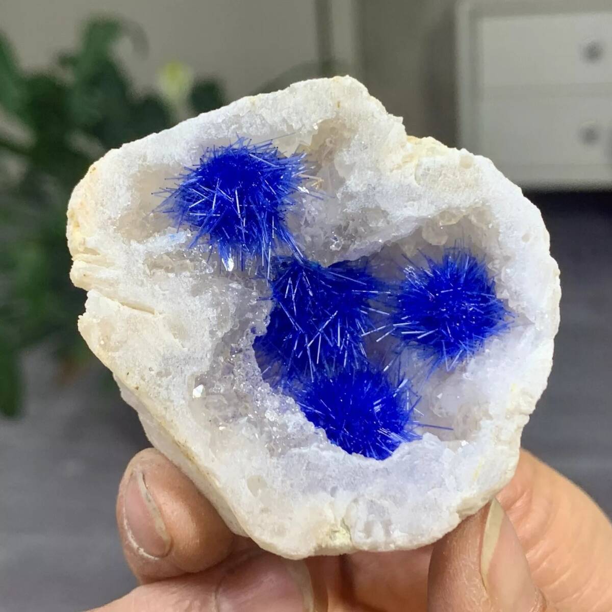 Yahoo!オークション - 57g レアホワイト瑪瑙ジオード ゼオライト標本付...