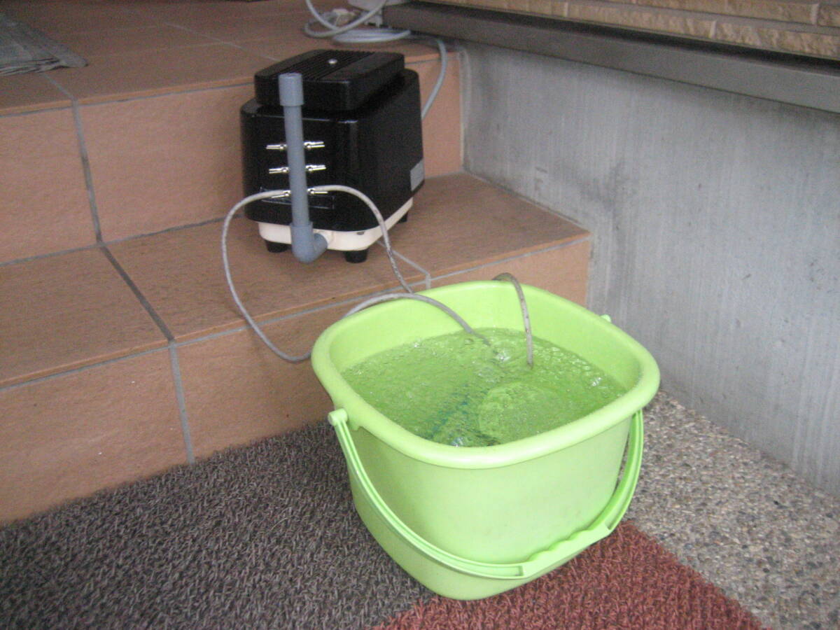 Yahoo!オークション - 【安永（LP-80H）80L】243 分解掃除済み 6分岐管...