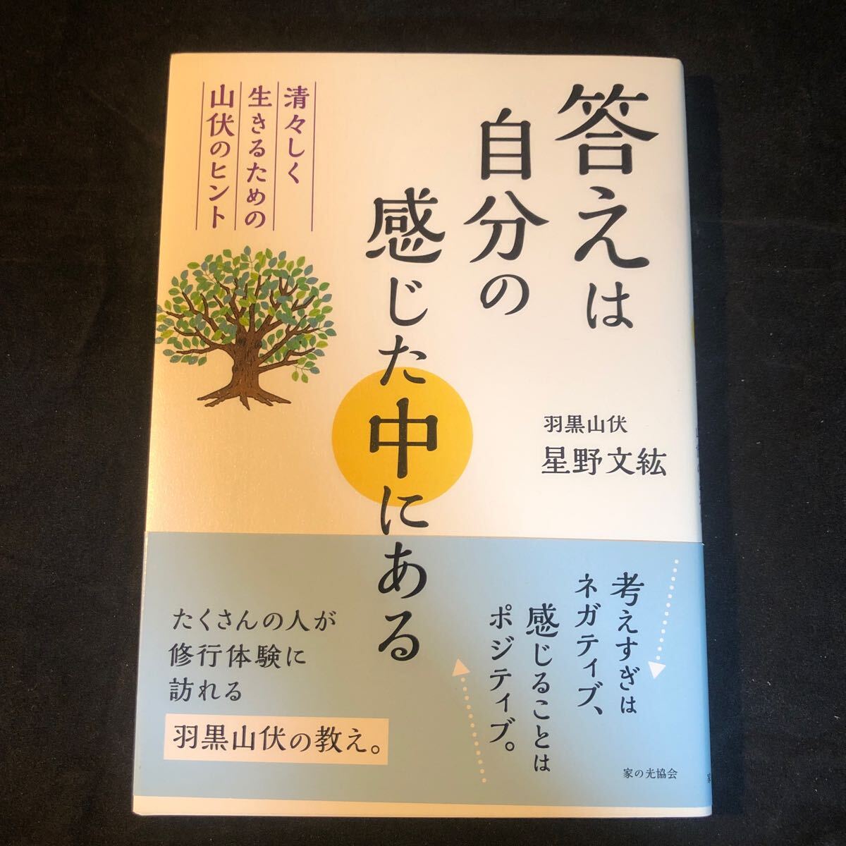 初版 帯付き 答えは自分の感じた中にある 清々しく生きるための山伏のヒント 星野文紘／著 単行本 dg 304 :: Yahoo!Auction｜DEJAPAN - Bid and Buy ...