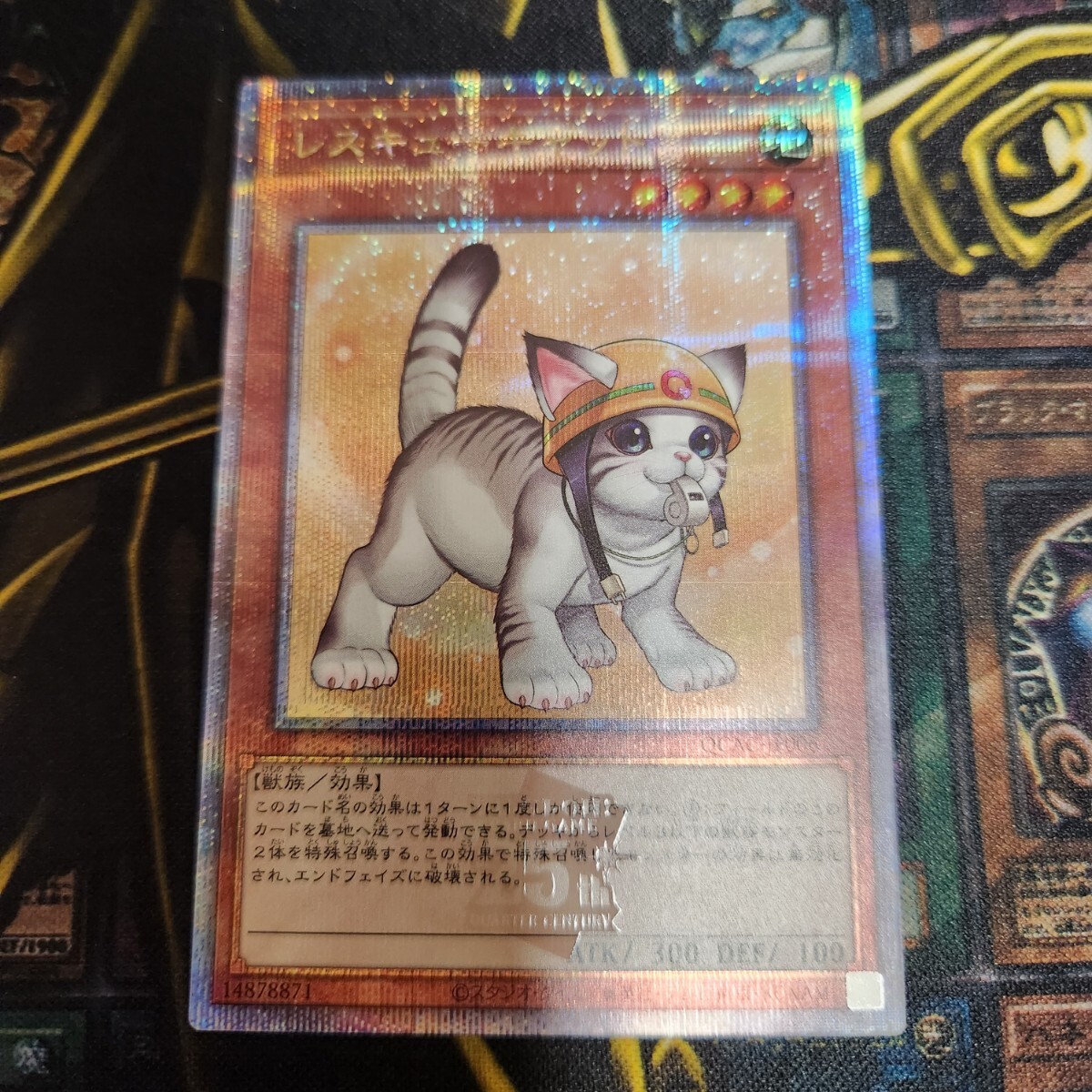 Yahoo!オークション - おまとめ可 QCAC-JP006 レスキューキャット 25th...