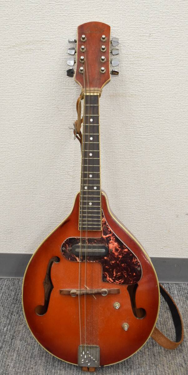 I The Samick サミック IIM6-AM GUARANTEED MA-1 マンドリン(マンドリン)｜売買されたオークション情報、yahooの商品情報をアーカイブ公開 - オークファン ...