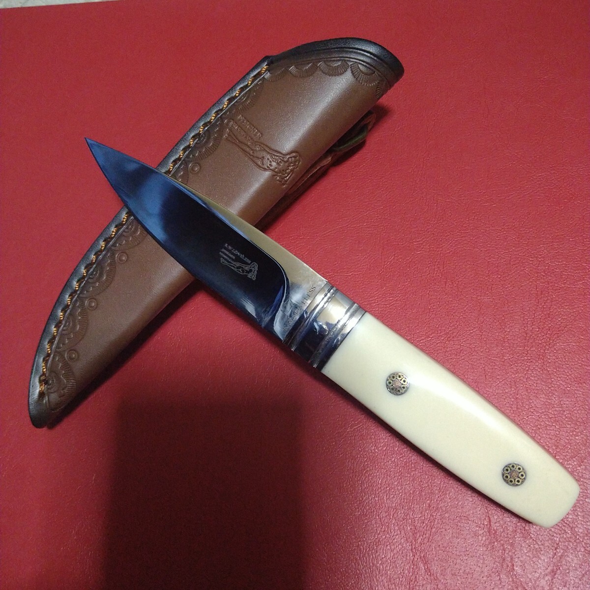 Yahoo!オークション - M390 ステンレス鋼 固定ブレード アウトドア キ...