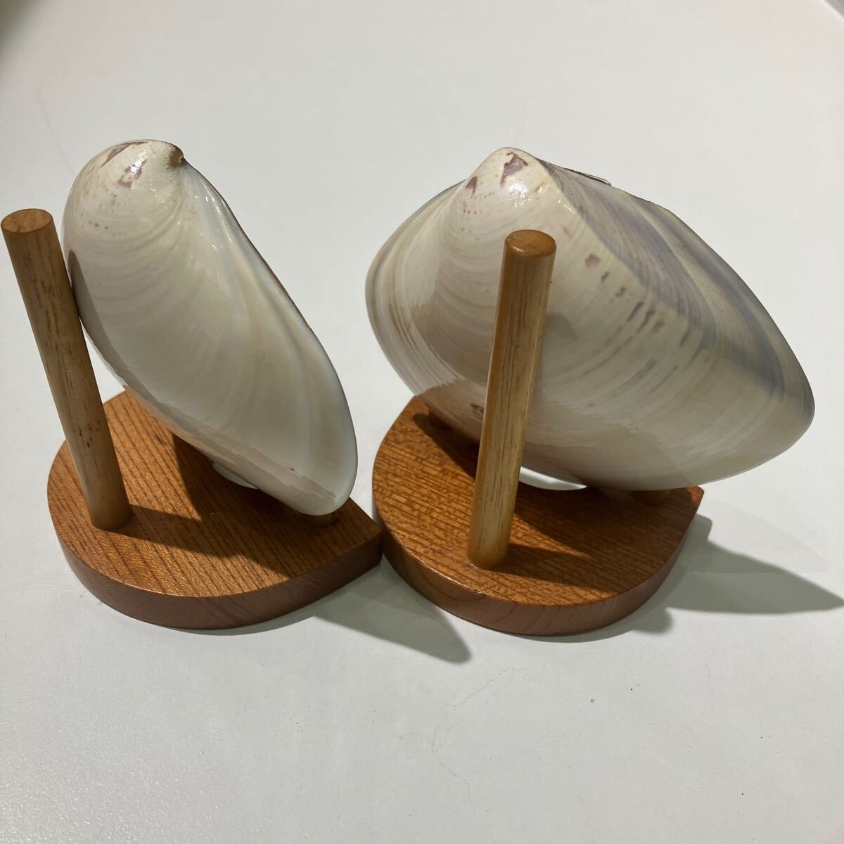 Yahoo!オークション - 6275 蛤画 題画 こいのぼり 水仙の花 オブジェ