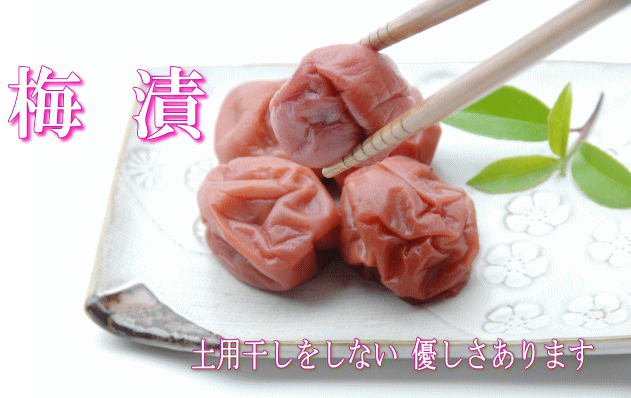 Yahoo!オークション - 梅漬 220g(110gX2袋) 無肥料・無農薬の自然栽...
