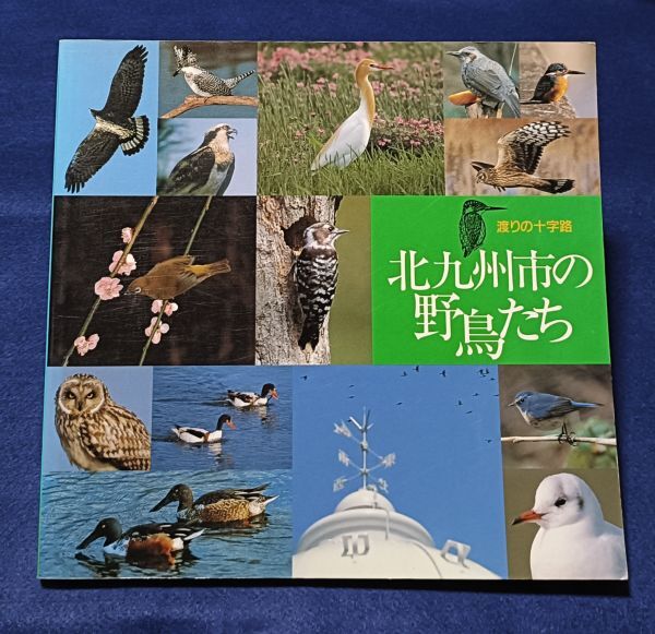 Yahoo!オークション - 渡りの十字路 北九州の野鳥たち 平成6年第1版 ...