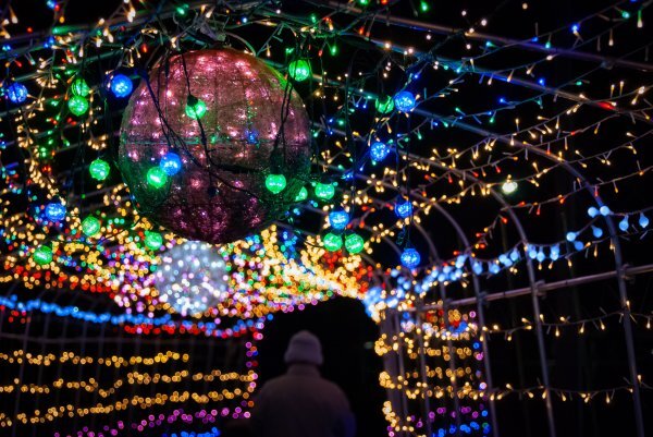 Yahoo!オークション - 4169 風景写真 L/2Lサイズ 当方オリジナル撮影フ...